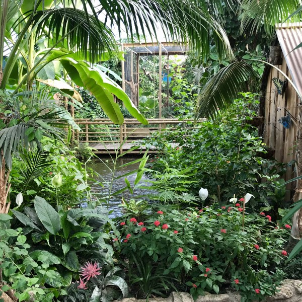 Tropical Zoo - Berkenhof Tropical Zoo