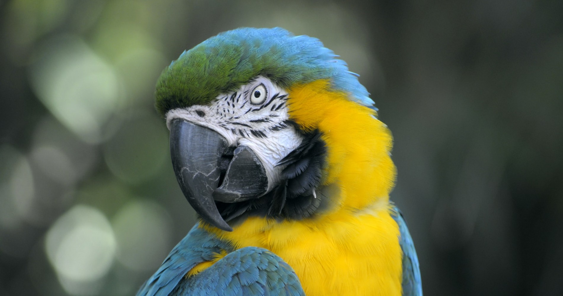 Berkenhof Tropical Zoo: de leukste attractie van Zeeland
