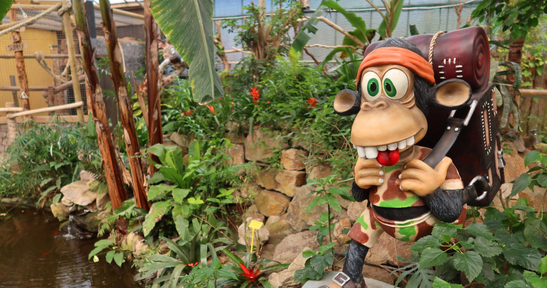 Berkenhof Tropical Zoo: de leukste attractie van Zeeland