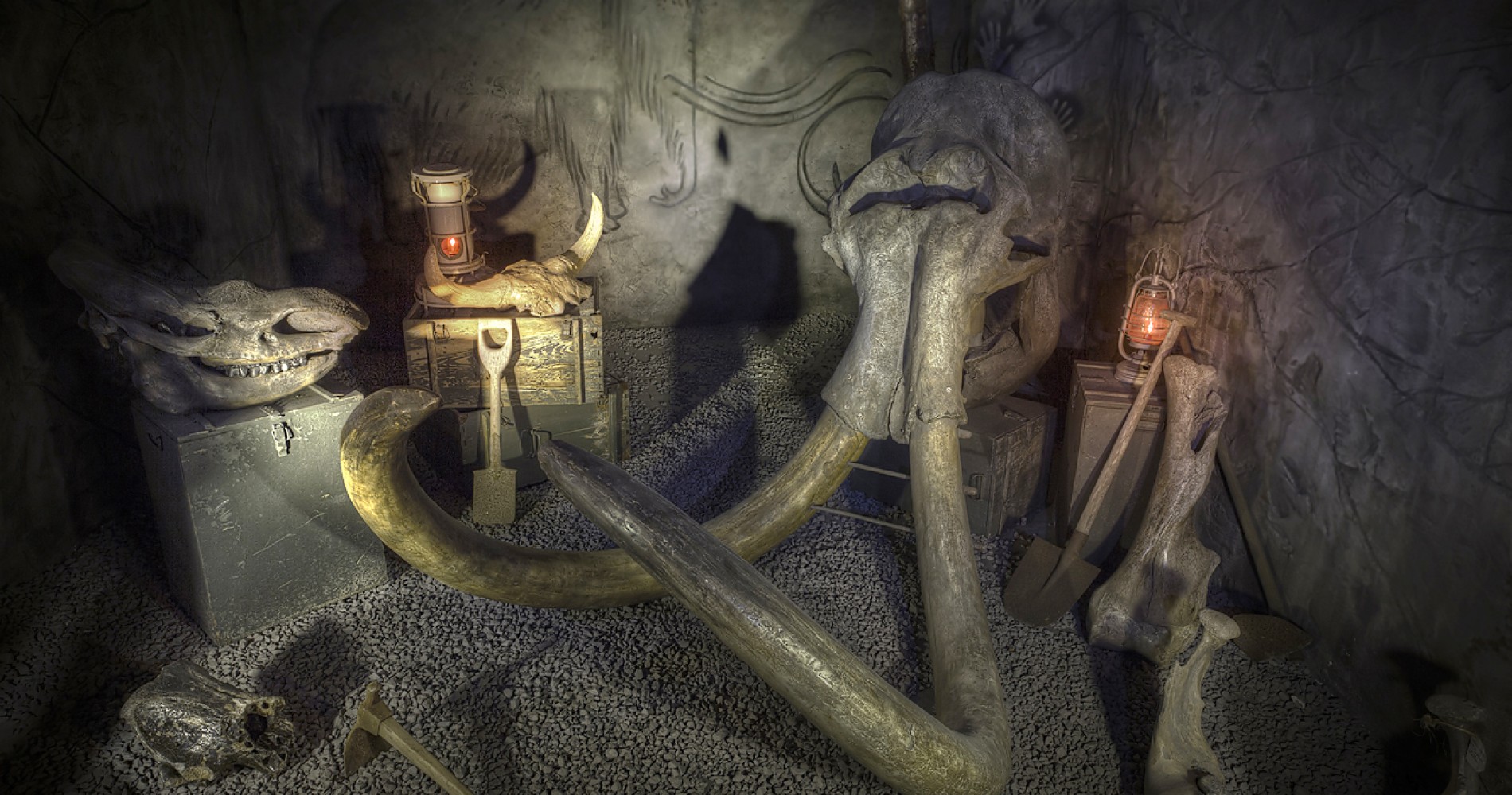 Berkenhof Tropical Zoo: de leukste attractie van Zeeland