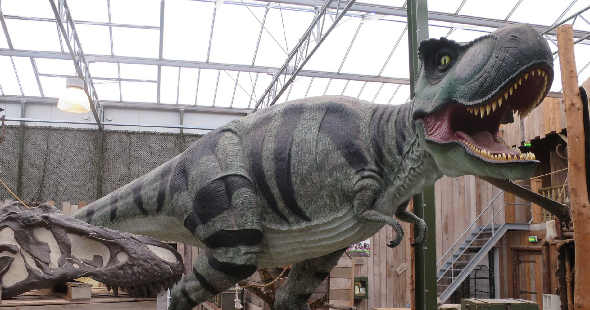 Dieren - Berkenhof Tropical Zoo