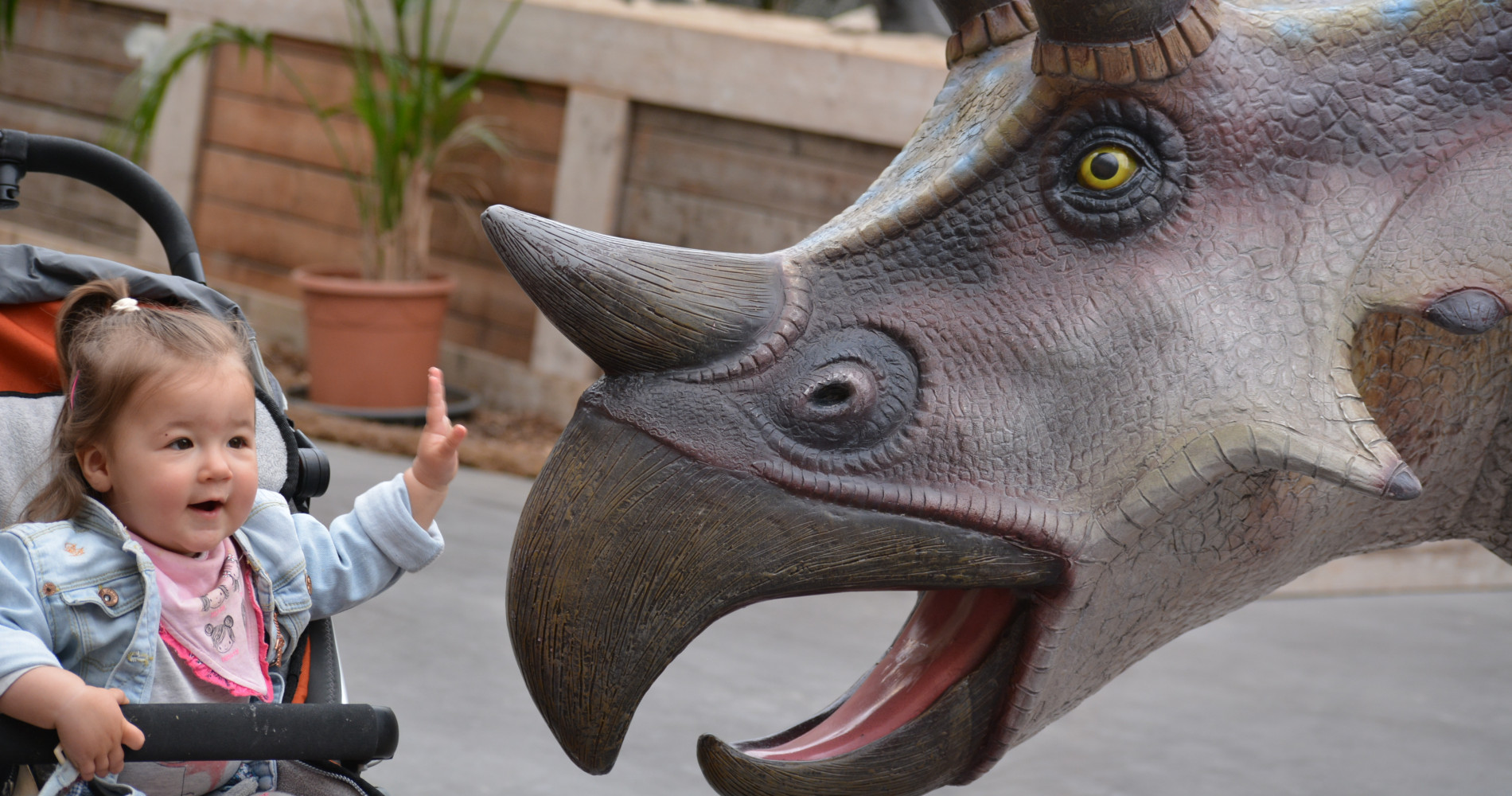 Berkenhof Tropical Zoo: de leukste attractie van Zeeland